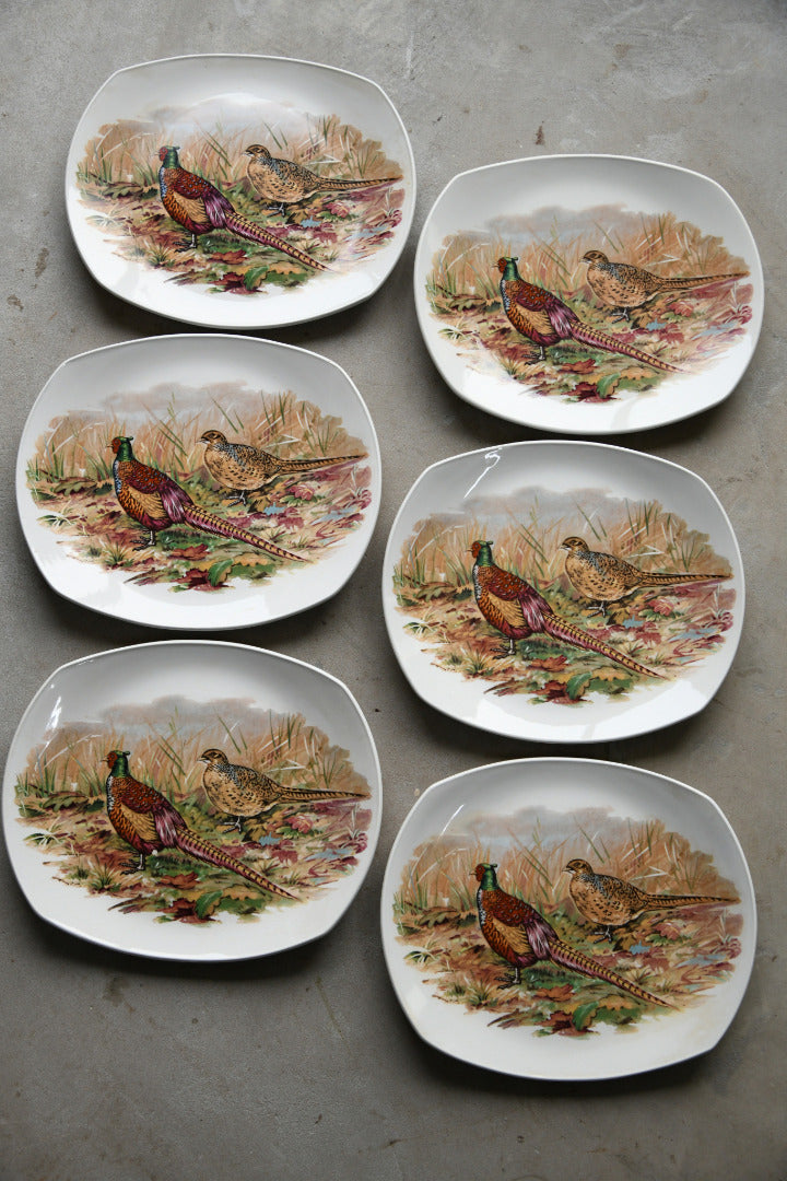 6 x Retro Harry Hancock Pheasant Plates – Kernow Furniture