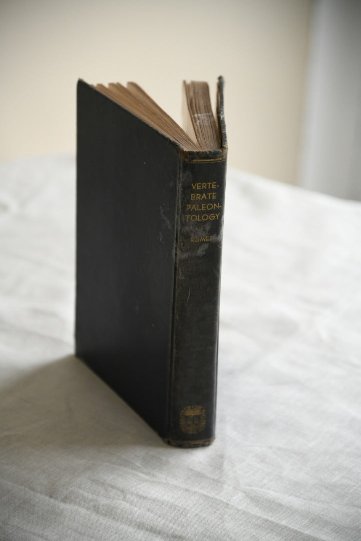 Alfred Sherwood Romer -Vertebrate Paleontology – Kernow Furniture
