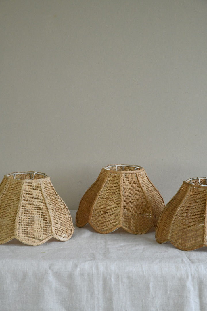 Single Rattan Ceiling Lamp Shade – Kernow Furniture