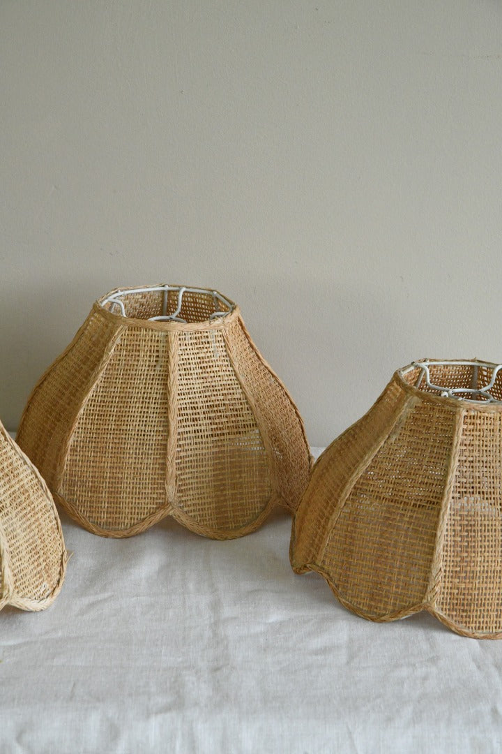 Single Rattan Ceiling Lamp Shade – Kernow Furniture
