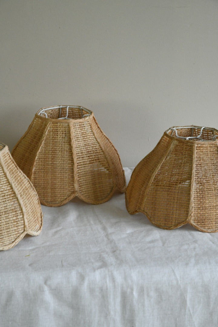 Single Rattan Ceiling Lamp Shade – Kernow Furniture