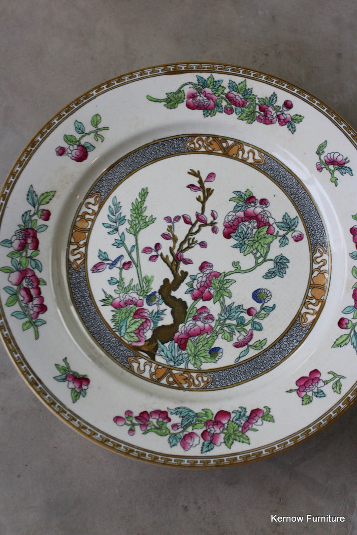 6 Wedgwood Indian Tree Dinner Plate – Kernow Furniture