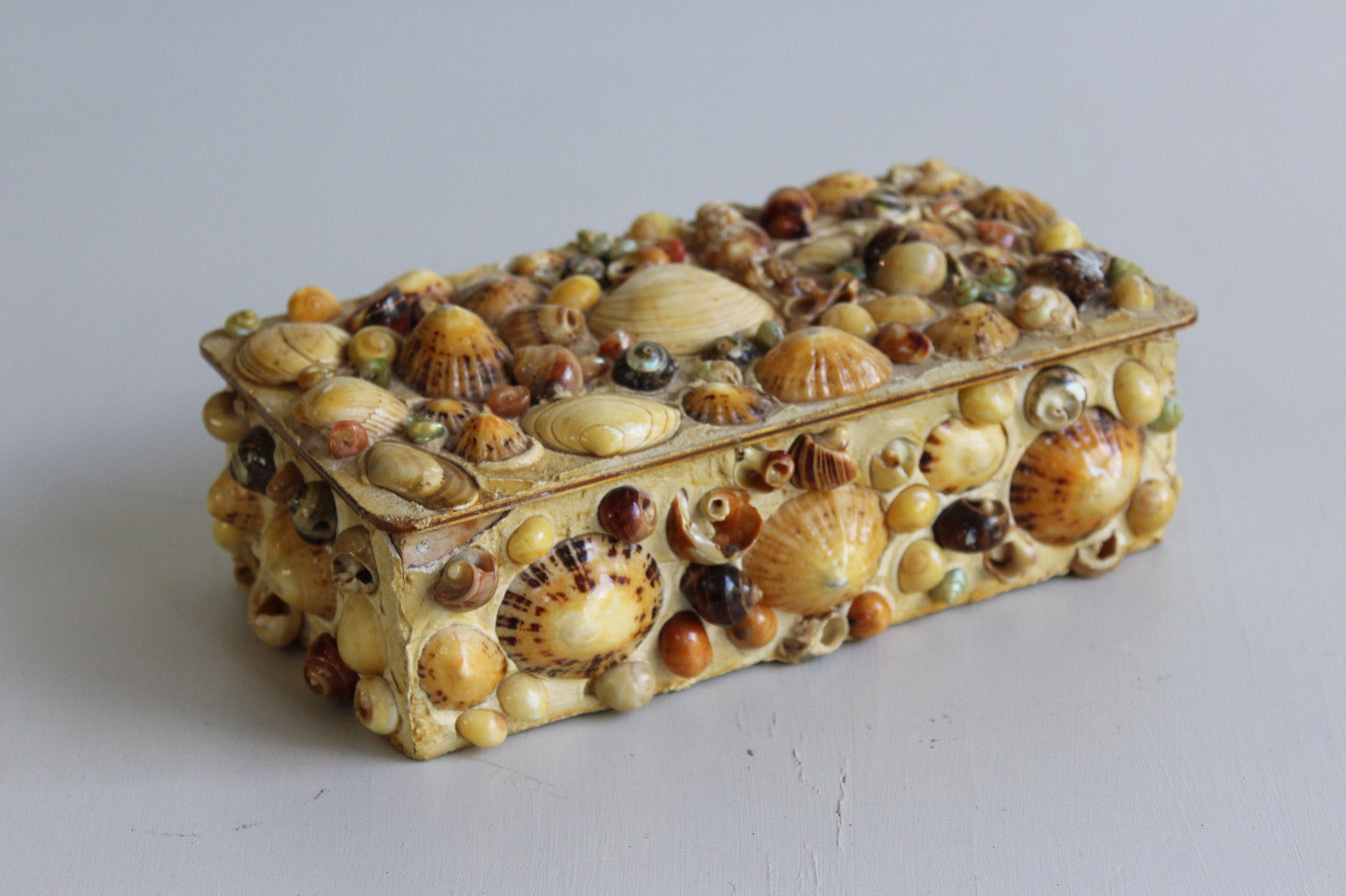 Vintage Shell Trinket Box – Kernow Furniture