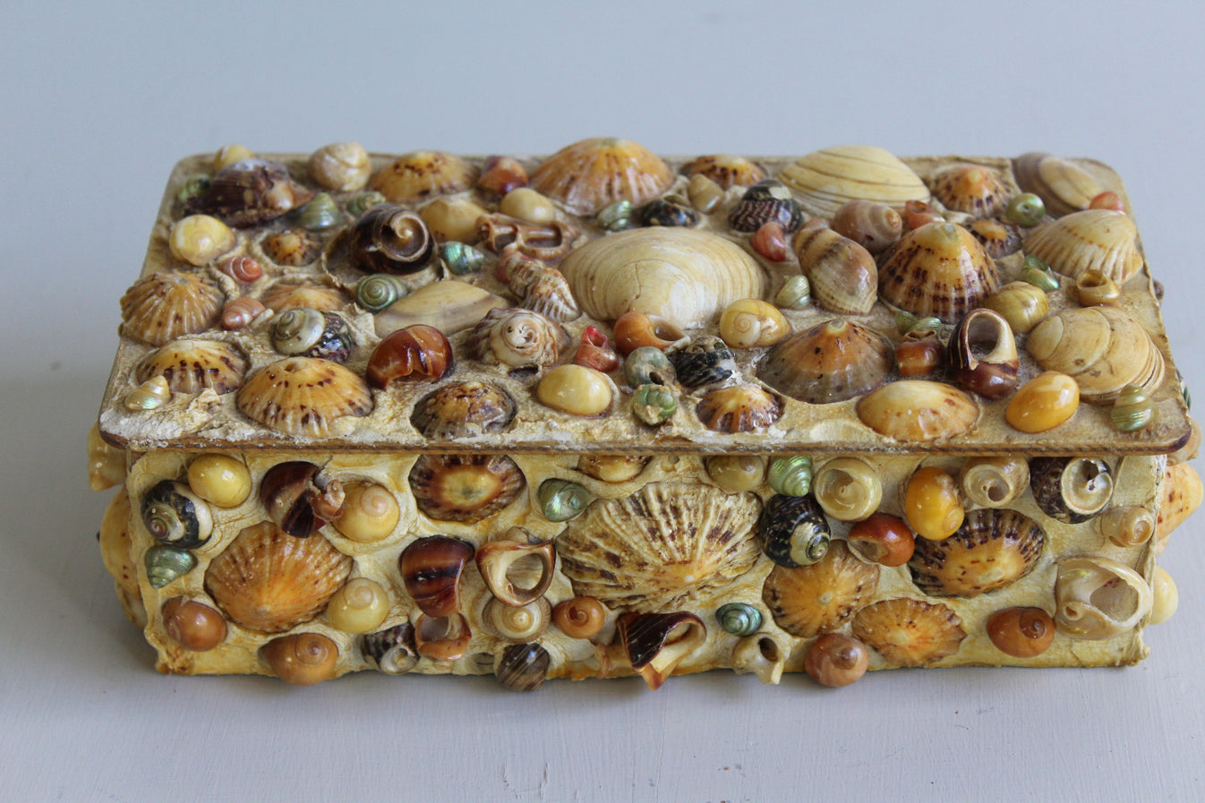 Vintage Shell Trinket Box – Kernow Furniture