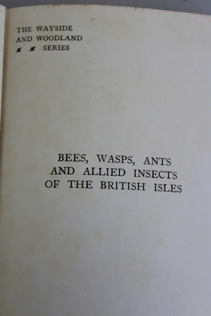 Bees Wasps Ants & Allied Insects Edward Step 1932 – Kernow Furniture