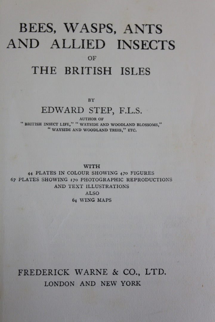Bees Wasps Ants & Allied Insects Edward Step 1932 – Kernow Furniture