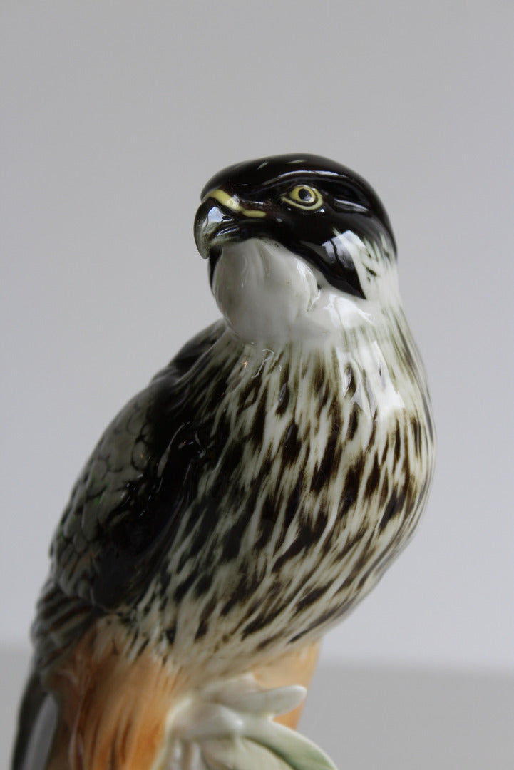 Karl Ens Porcelain Falcon – Kernow Furniture